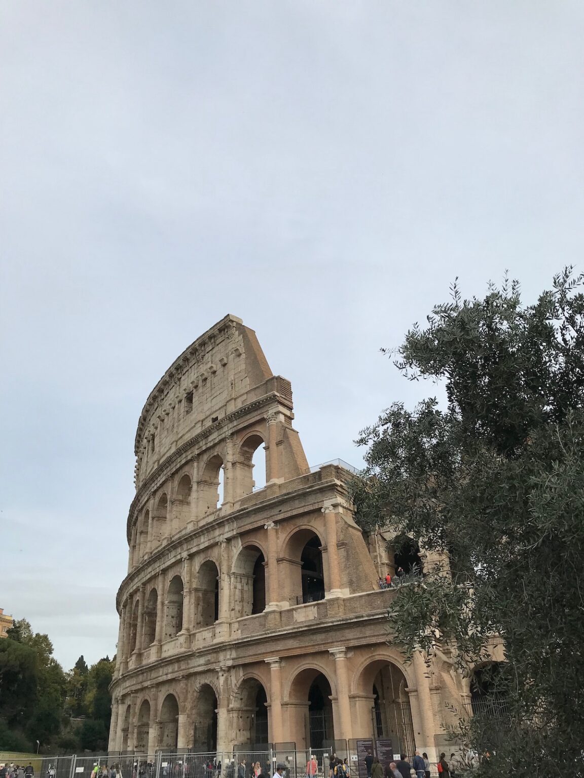 Rome to Jerusalem / Jerusalem to Rome: All You Need To Know (2024 ...